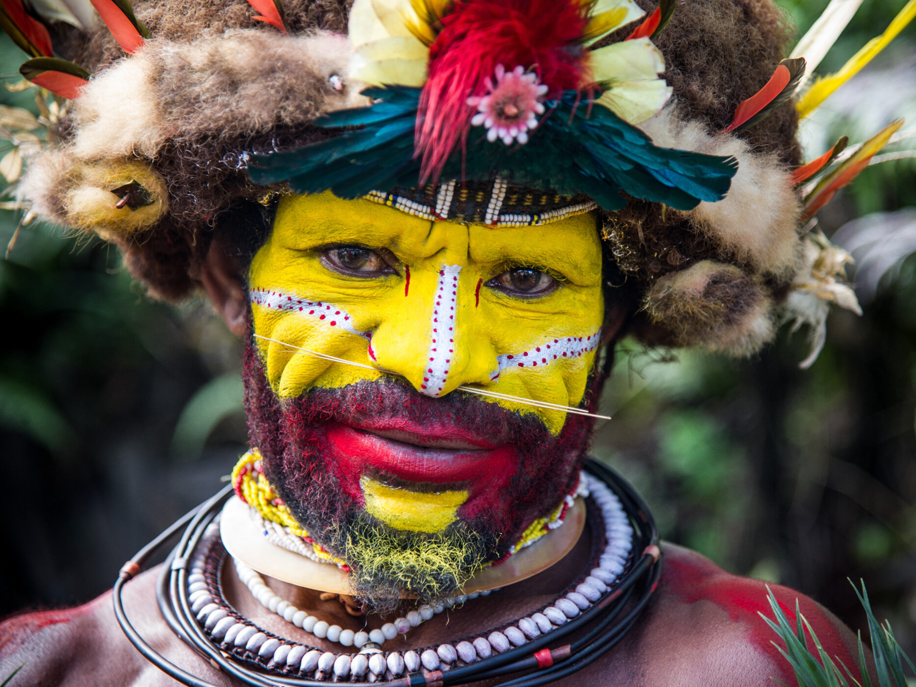 Tribes & Birds of Paradise in the Highlands of Papua New Guinea - The ...