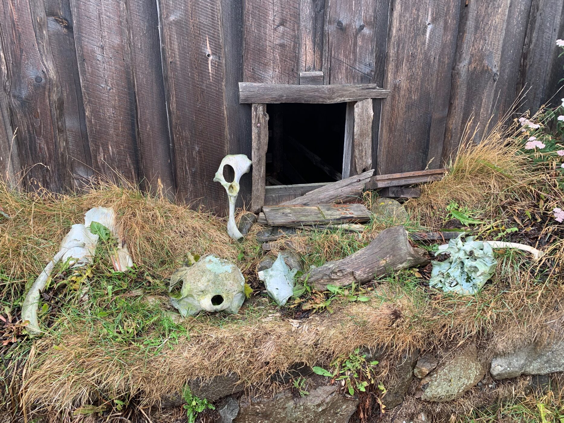 Museum of Icelandic Sorcery and Witchcraft - Zoom lecture by Anna Björg ...