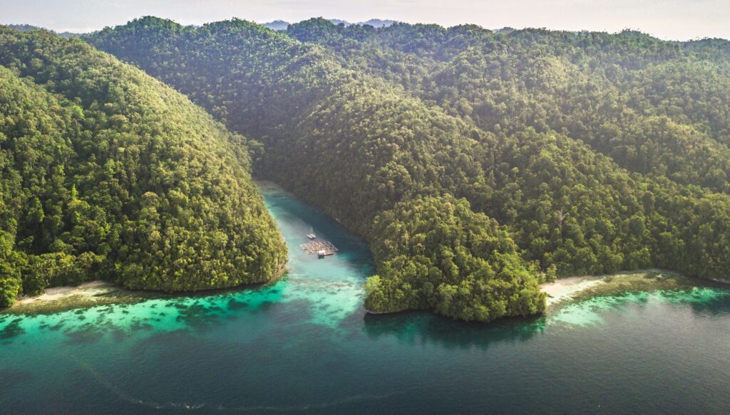 New Guinea's Raja Ampat Islands - Birds of Paradise & The Coral ...