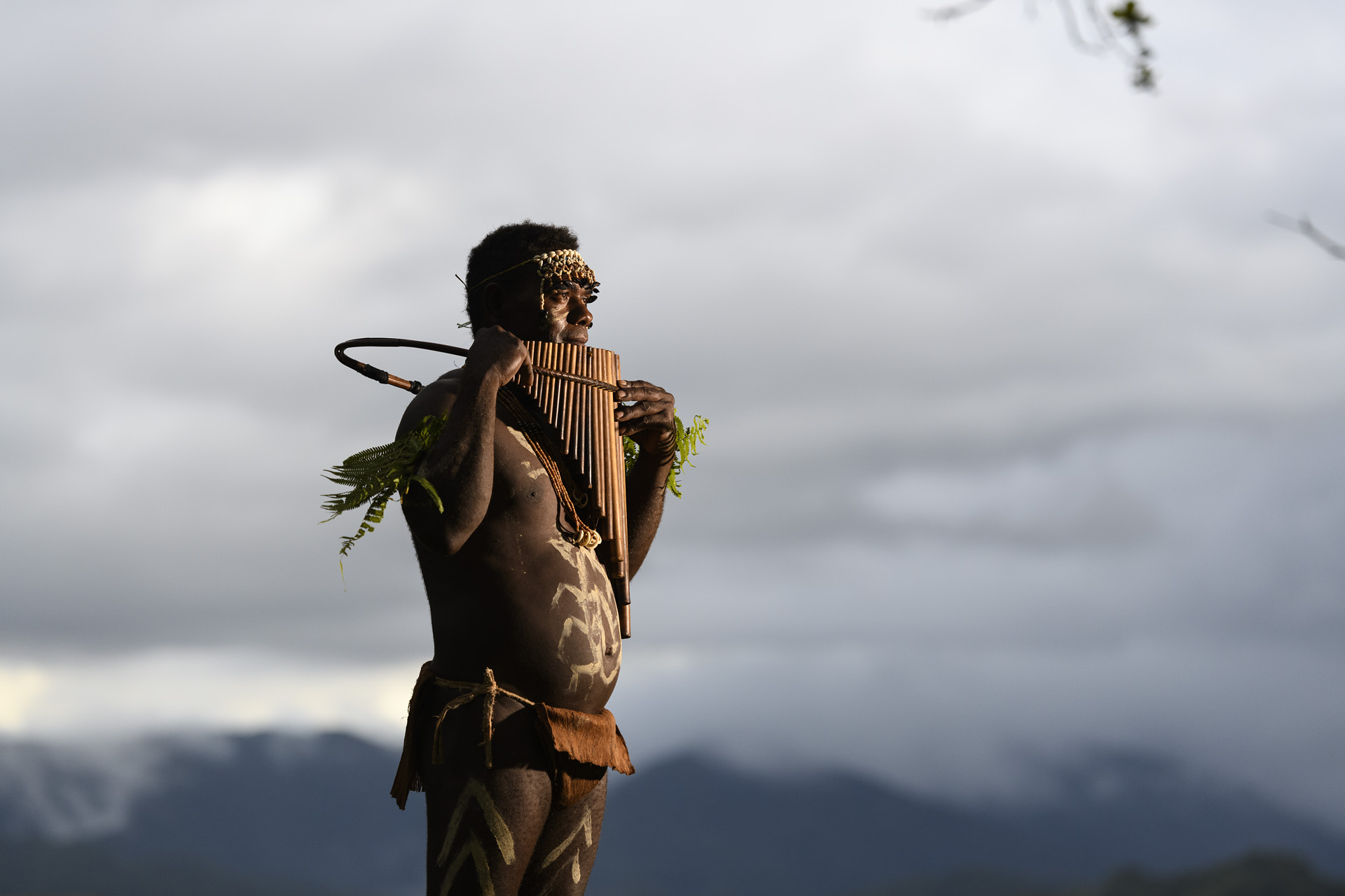 Solomon Islands - The Last Tuesday Society
