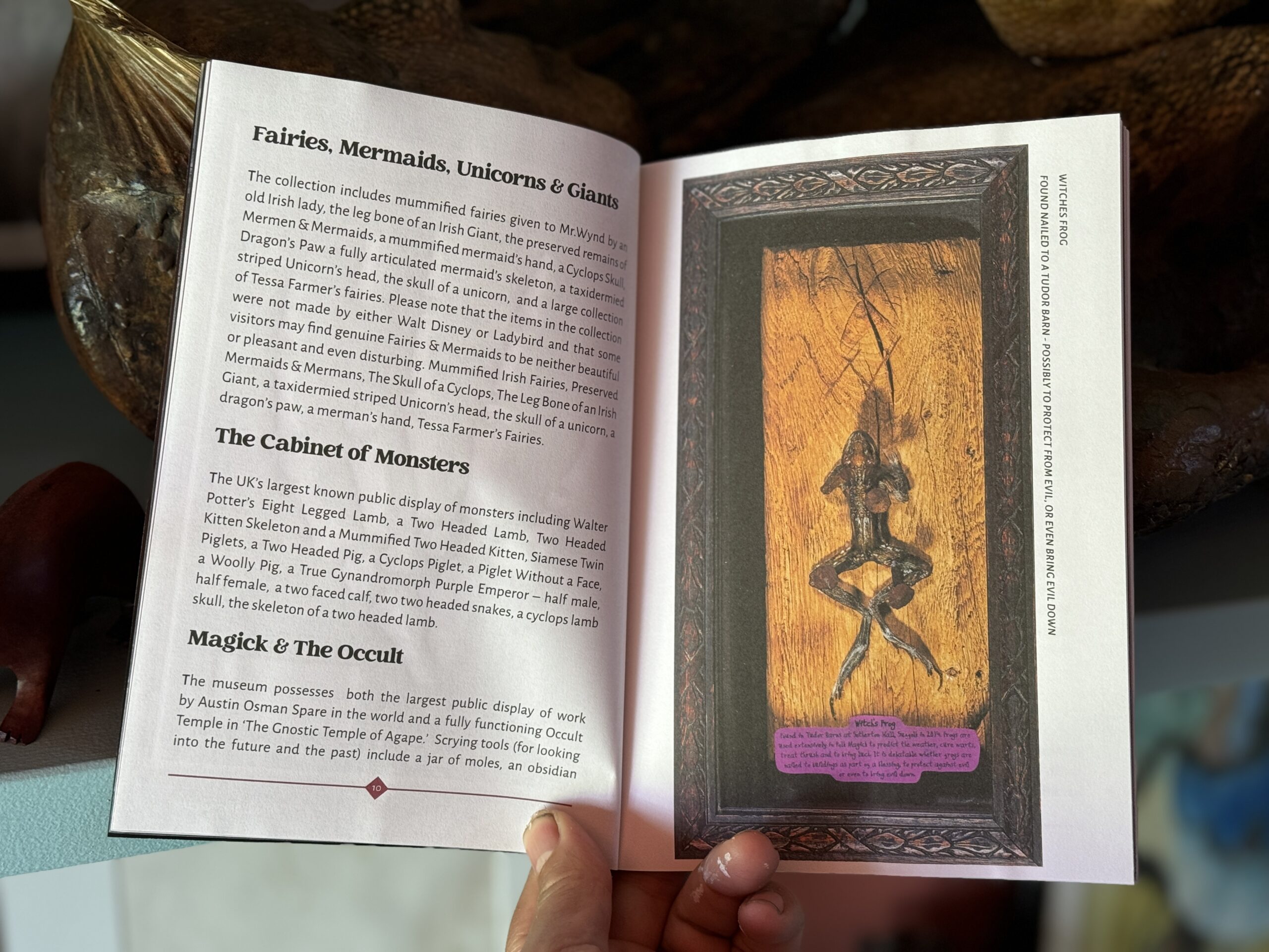 Signed Museum Guide Book 2024 - The Last Tuesday Society