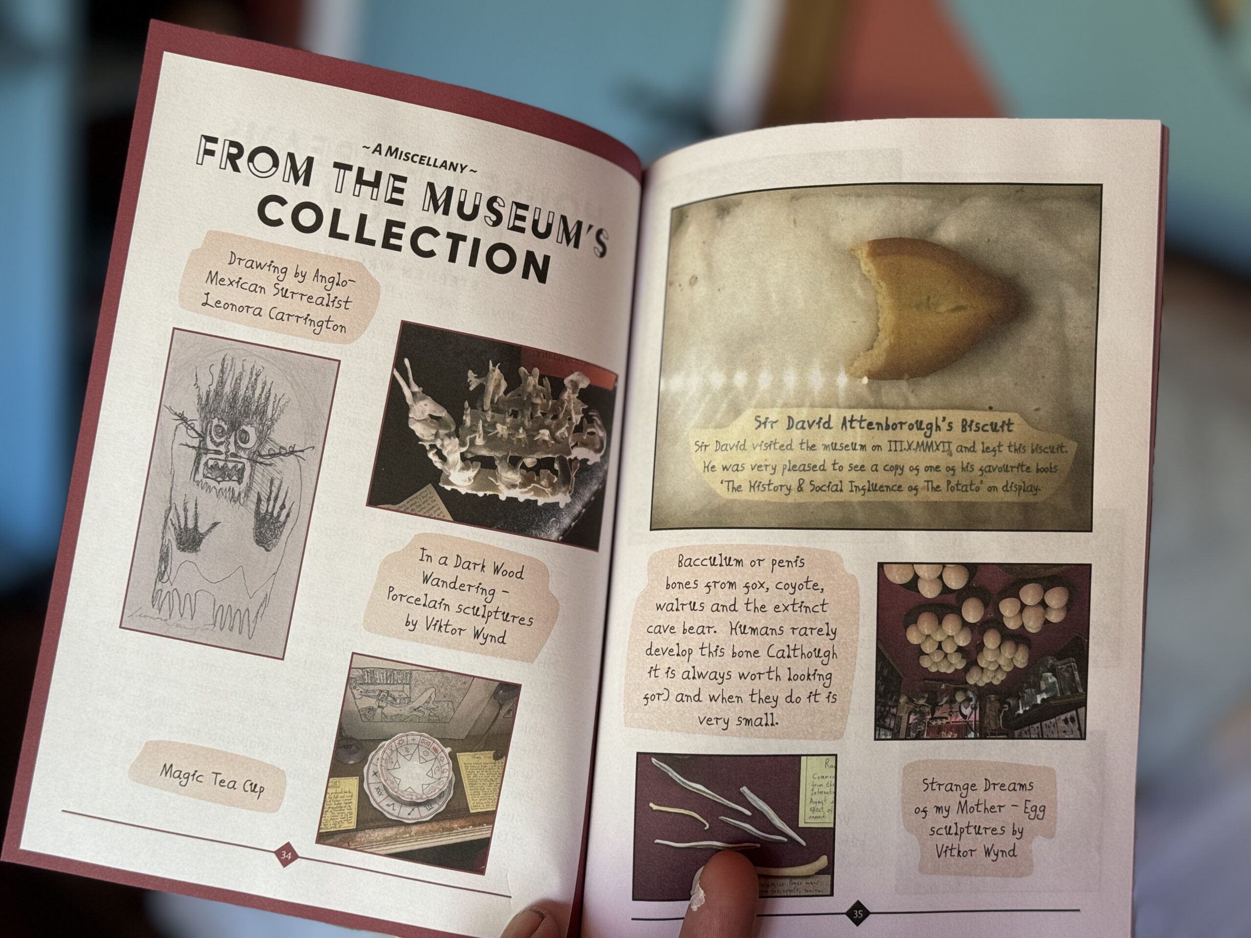 Signed Museum Guide Book 2024 - The Last Tuesday Society